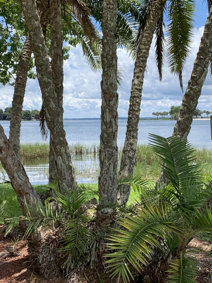 Beautiful Day At Venetian Gardens - Leesburg-News.com