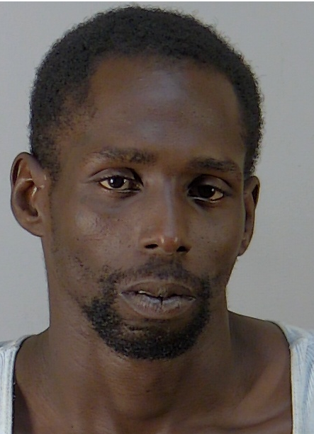 Six-time felon charged with firing shots at Susan Street Sports Complex ...