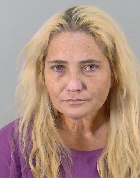 Mother arrested on DUI charge at elementary school in Leesburg ...