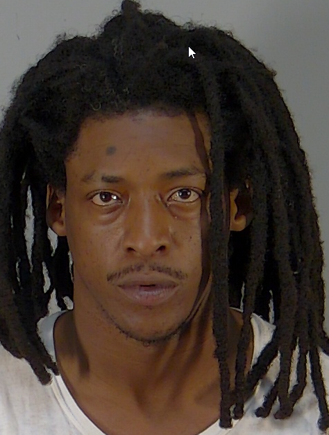 Leesburg police catch up to reckless driver who fled - Leesburg-News.com