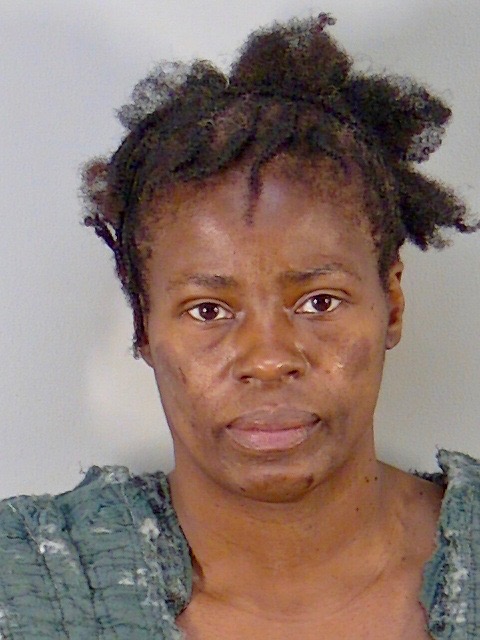 Suspect indicted in murder of elderly couple in Mount Dora - Leesburg ...