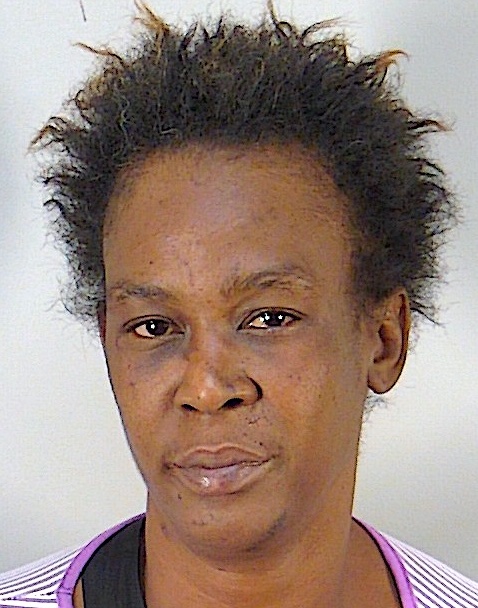 Leesburg woman arrested after allegedly attacking neighbor with broom ...