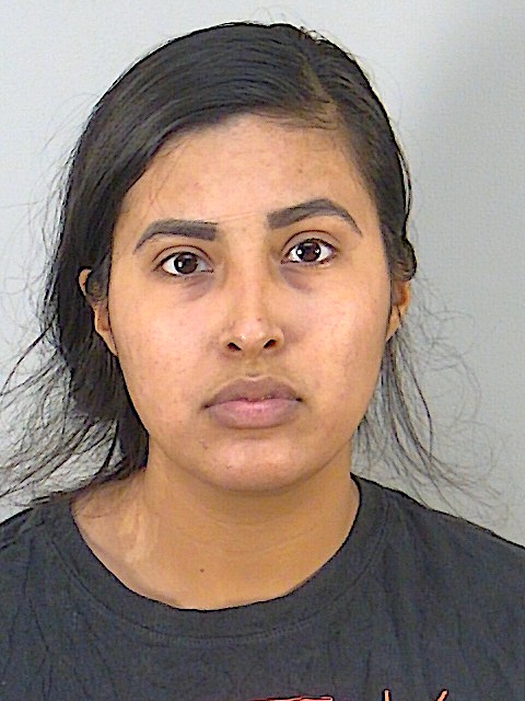 Leesburg woman accused of shoving her child's father - Leesburg-News.com