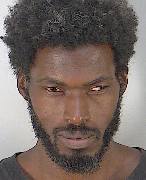 Purse snatcher lands behind bars after victim identifies him in photo ...
