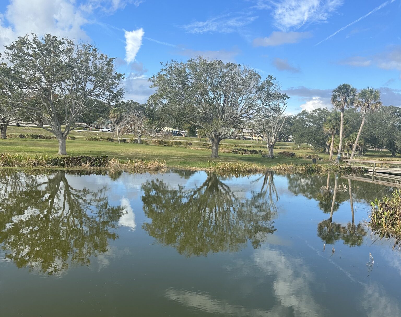 Reflective scene at Venetian Gardens - Leesburg-News.com