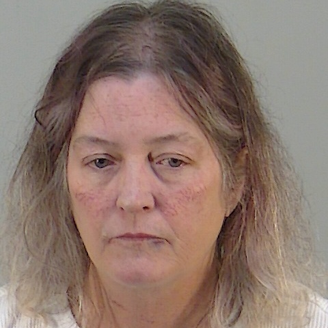 Lake EMS summoned after intoxicated sisters engage in brawl - Leesburg ...