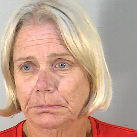 Leesburg woman arrested on DUI charge after nearly hitting officer's ...