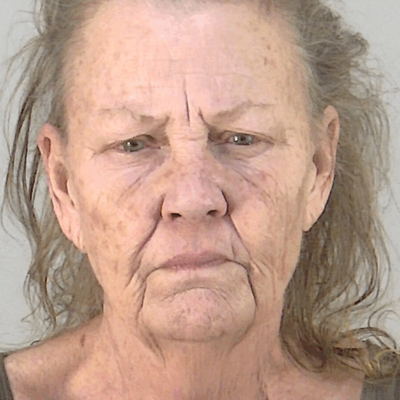 Pair from Leesburg arrested after deputy notices their suspicious ...