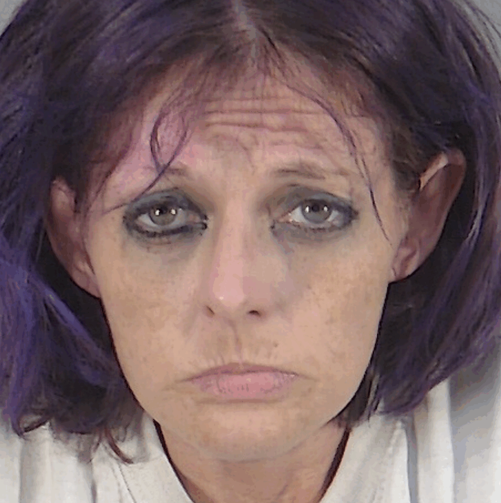 Woman swallows possible narcotic-related item during search of her ...