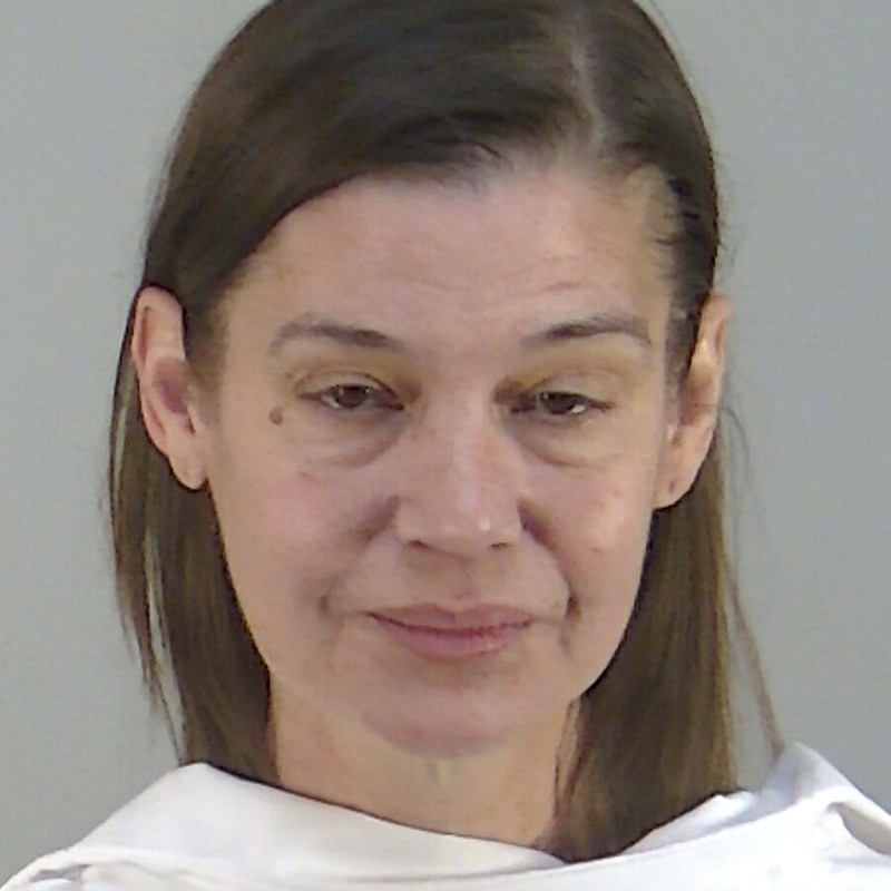 Intoxicated babysitter abandons two children at park in Clermont ...