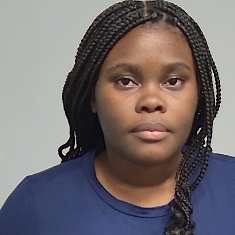South Carolina teen arrested in alleged theft of $134 essentials from ...