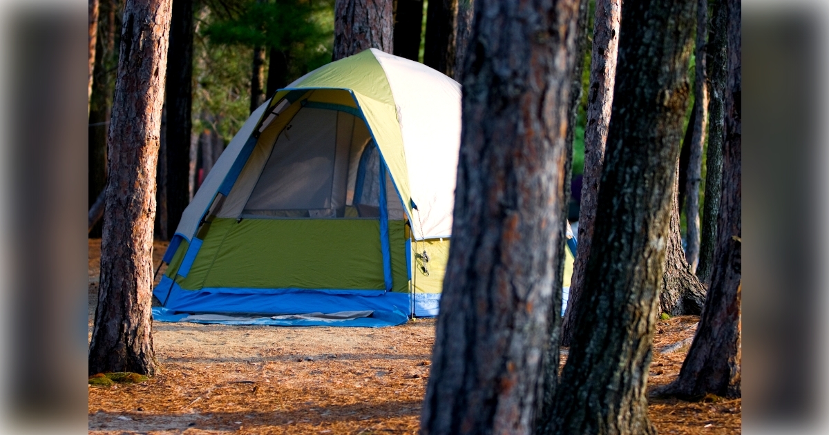 Homeless man allegedly shoves pregnant girlfriend during spat at camp ...
