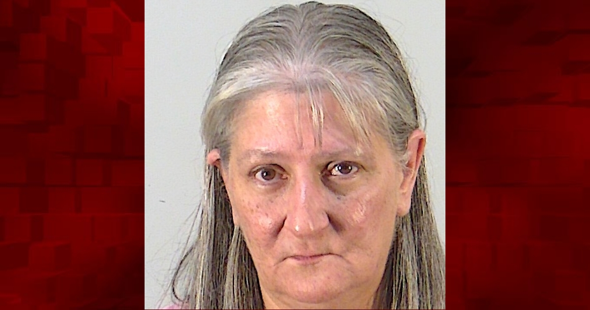 Leesburg woman arrested after allegedly punching man who recently had ...